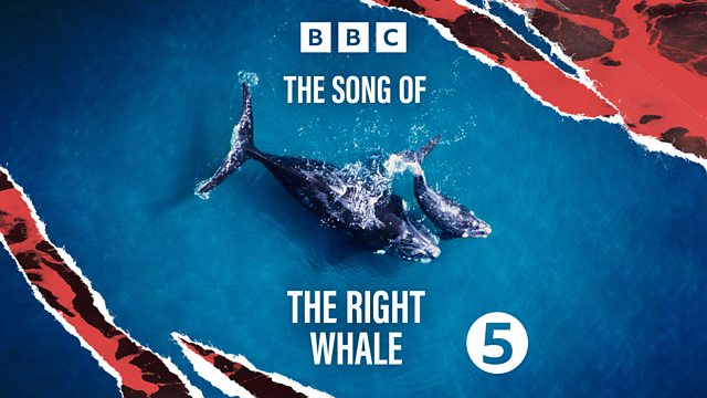 BBC Radio 5 drops Rhod Sharp’s epic new series: ‘The Song of the Right ...