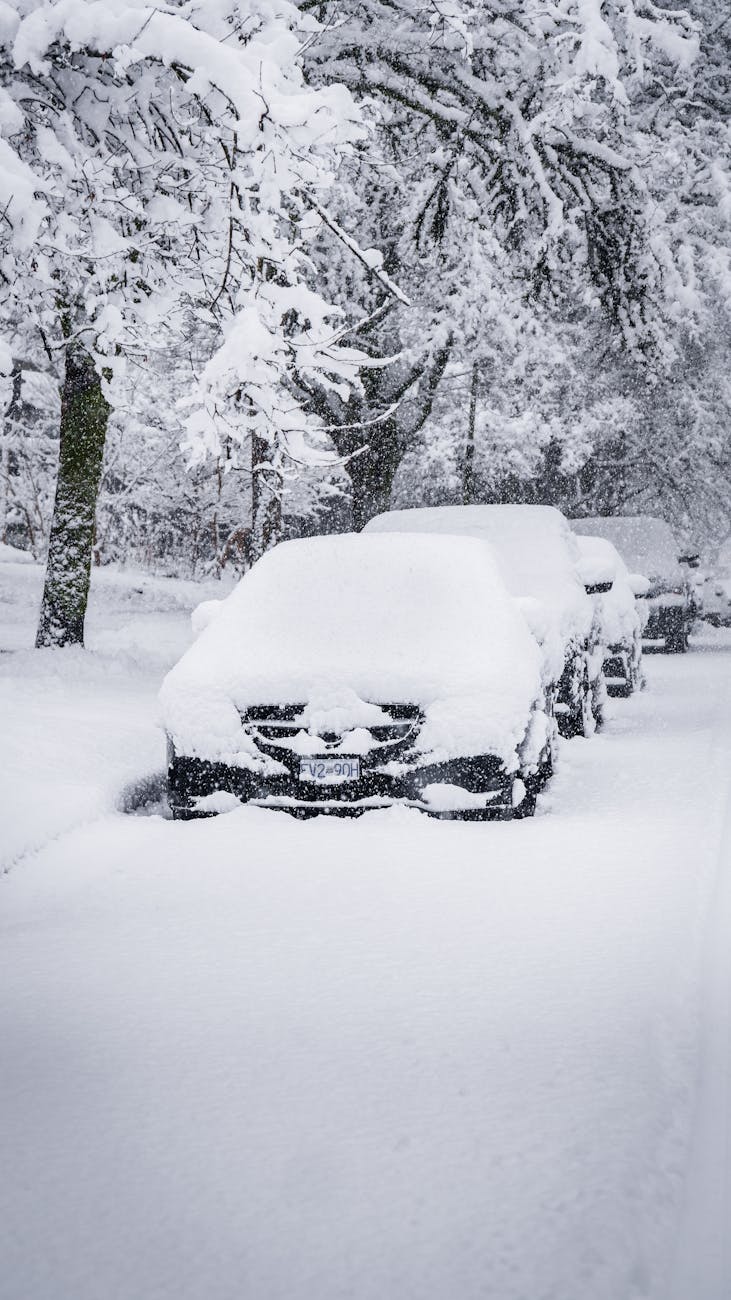 Blizzard barrels toward Marblehead; town declares parking ban, closes ...